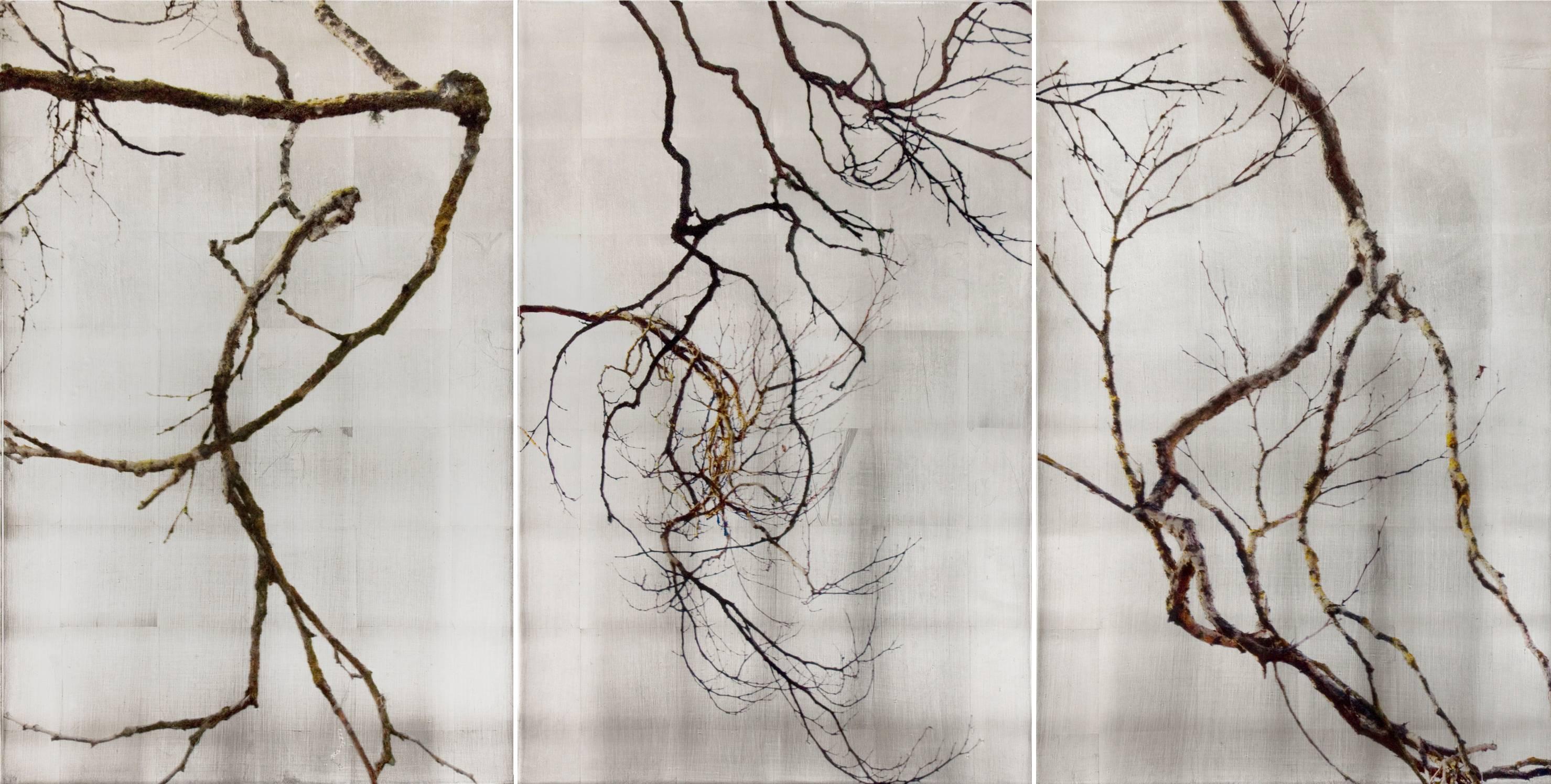 Susan Goldsmith - Elements (Triptych) For Sale at 1stDibs