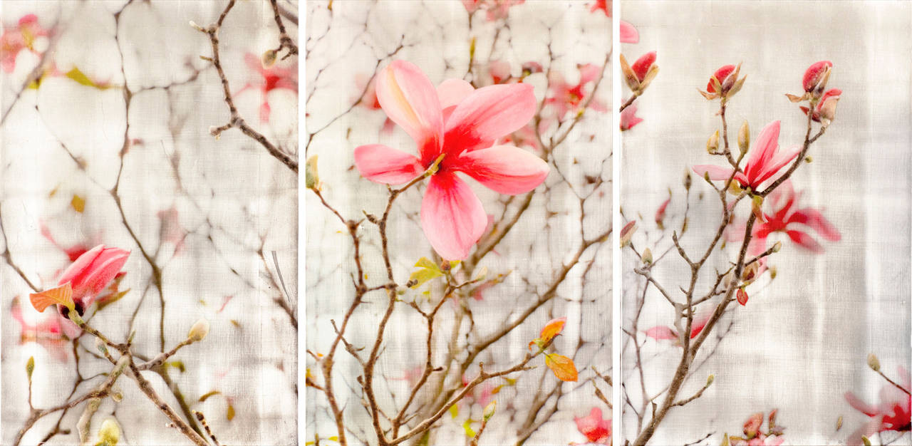 Susan Goldsmith - Rubidoux (Triptych) at 1stDibs