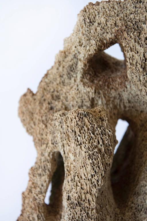 David R. Maracle - Eat the Fish and Leave the Bone For Sale at 1stDibs