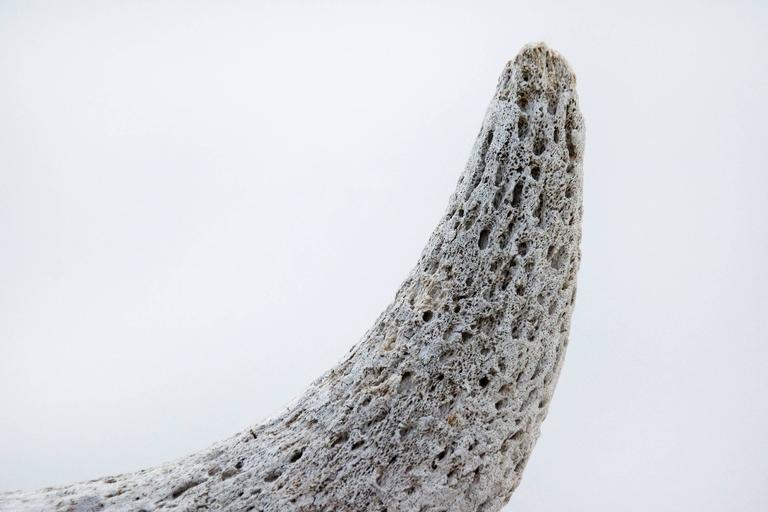 David R. Maracle - In the Spirit of Little Bighorn For Sale at 1stDibs