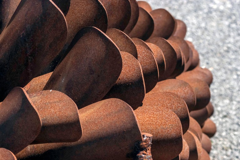 Floyd Elzinga - Fire Cone - Pine Cone at 1stDibs