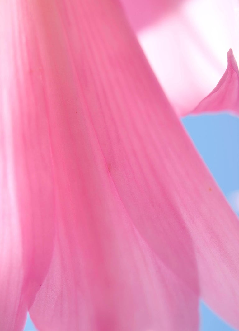 Gaétan Caron - "Naked Lady", Mendocino, California, Colour Photograph ...