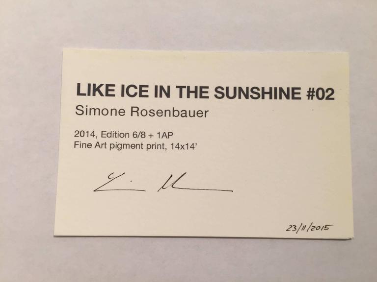 Simone Rosenbauer - Like Ice in the Sunshine No. 02 at 1stDibs