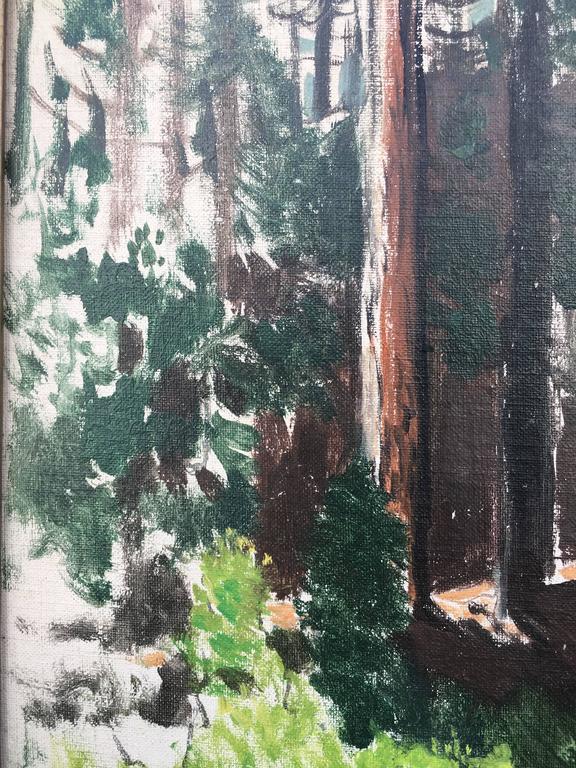 James Swinnerton - Redwoods, McCloud River, California, Painting For ...