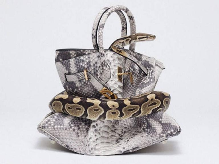 Tyler Shields - Python Birkin For Sale at 1stDibs