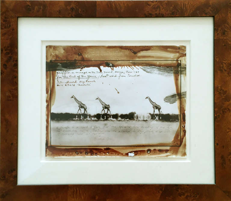 Peter Beard (Photographer) - Giraffes in Mirage on the Taru Desert at ...