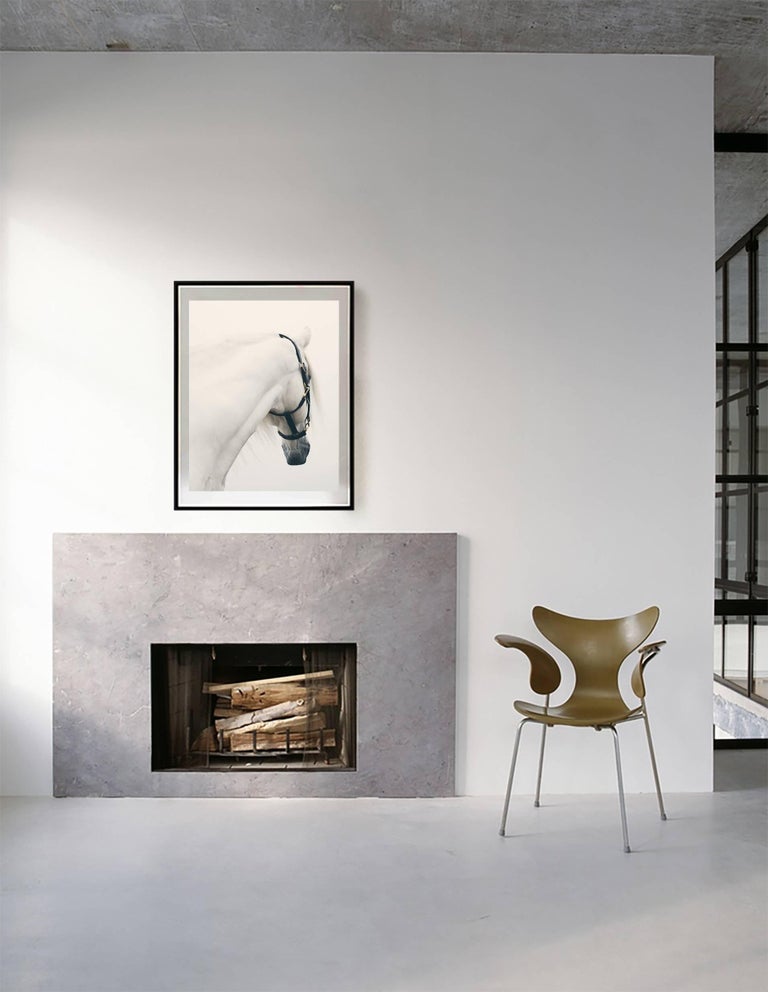 Richard Phibbs - White Horse For Sale at 1stDibs