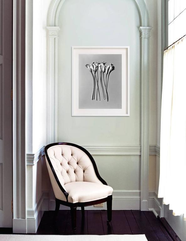 Craig Cutler - Calla Lily (Arrangement) For Sale at 1stDibs