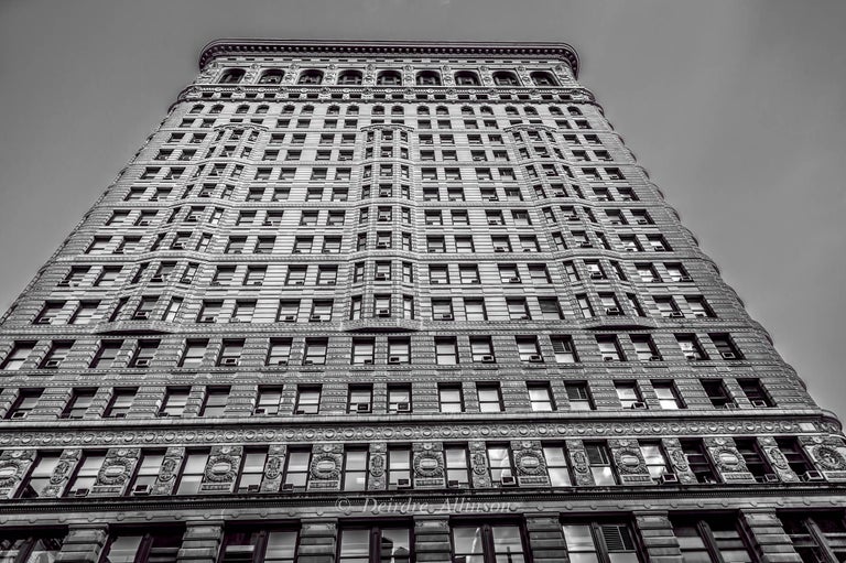 Deirdre Allinson - Facade: the Flat Iron For Sale at 1stDibs