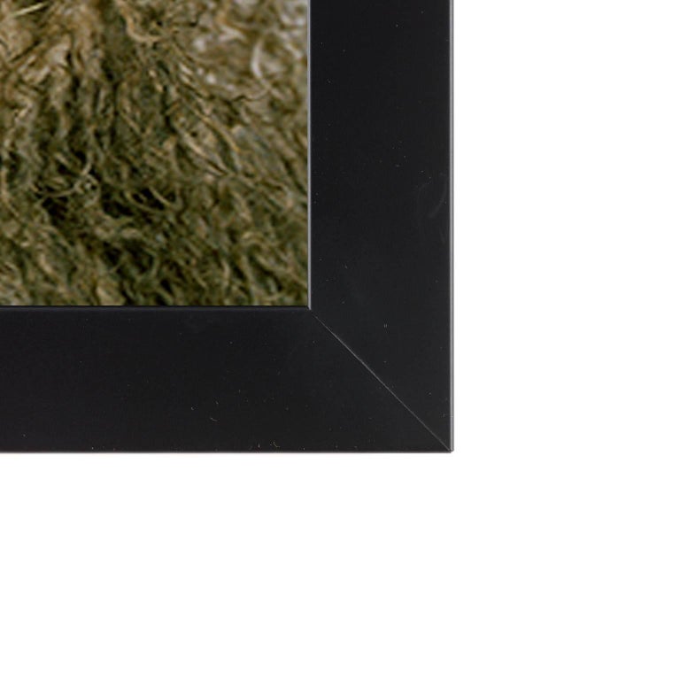 Rob MacInnis - Ben at 1stDibs | rob macinnis prints for sale