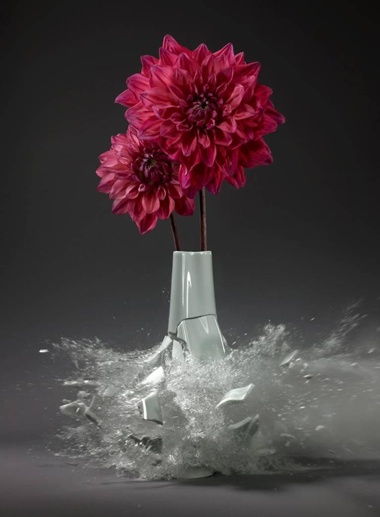 Martin Klimas - Dahlia III For Sale at 1stDibs