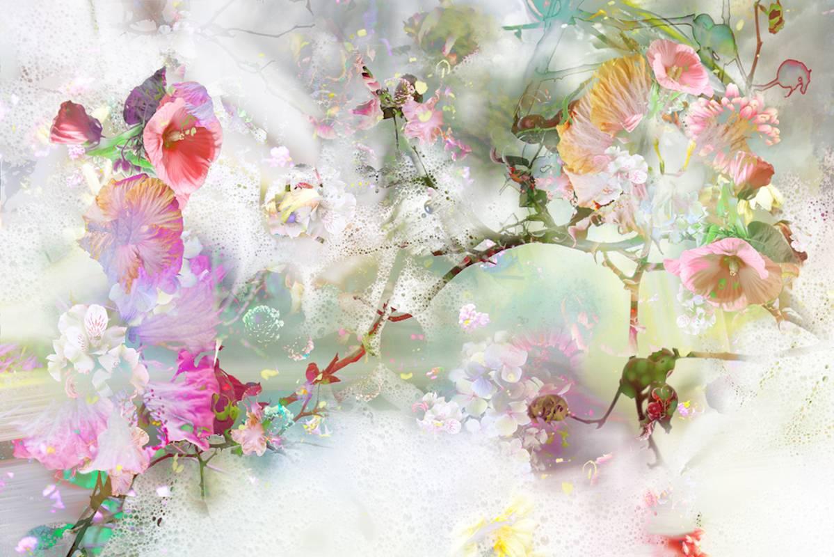 Agnieszka Maria Zieba - Variations II For Sale at 1stDibs