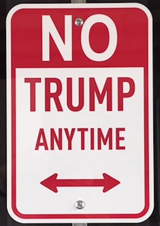 Plastic Jesus - No Trump Anytime Sign (actual sign hung by Trump Wall ...