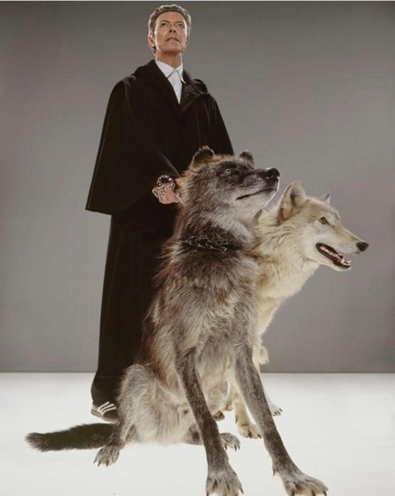 Markus Klinko - The Pack Markus Klinko Limited Estate Edition For Sale ...