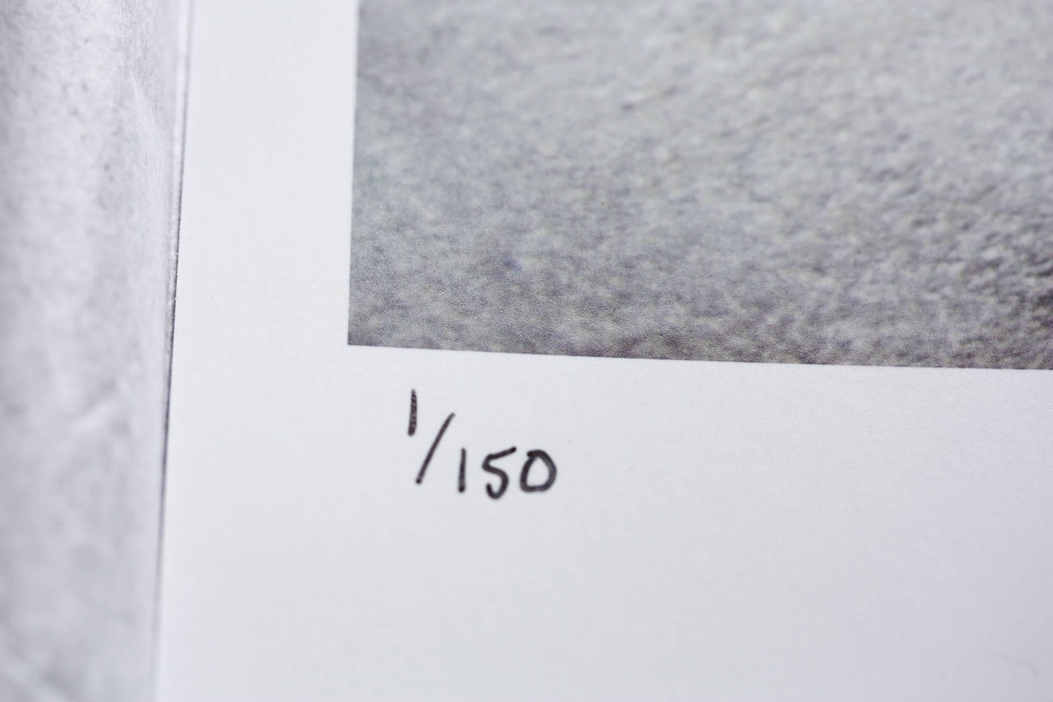 Slim Aarons - 'Il Canille' (Slim Aarons Estate Edition) at 1stDibs