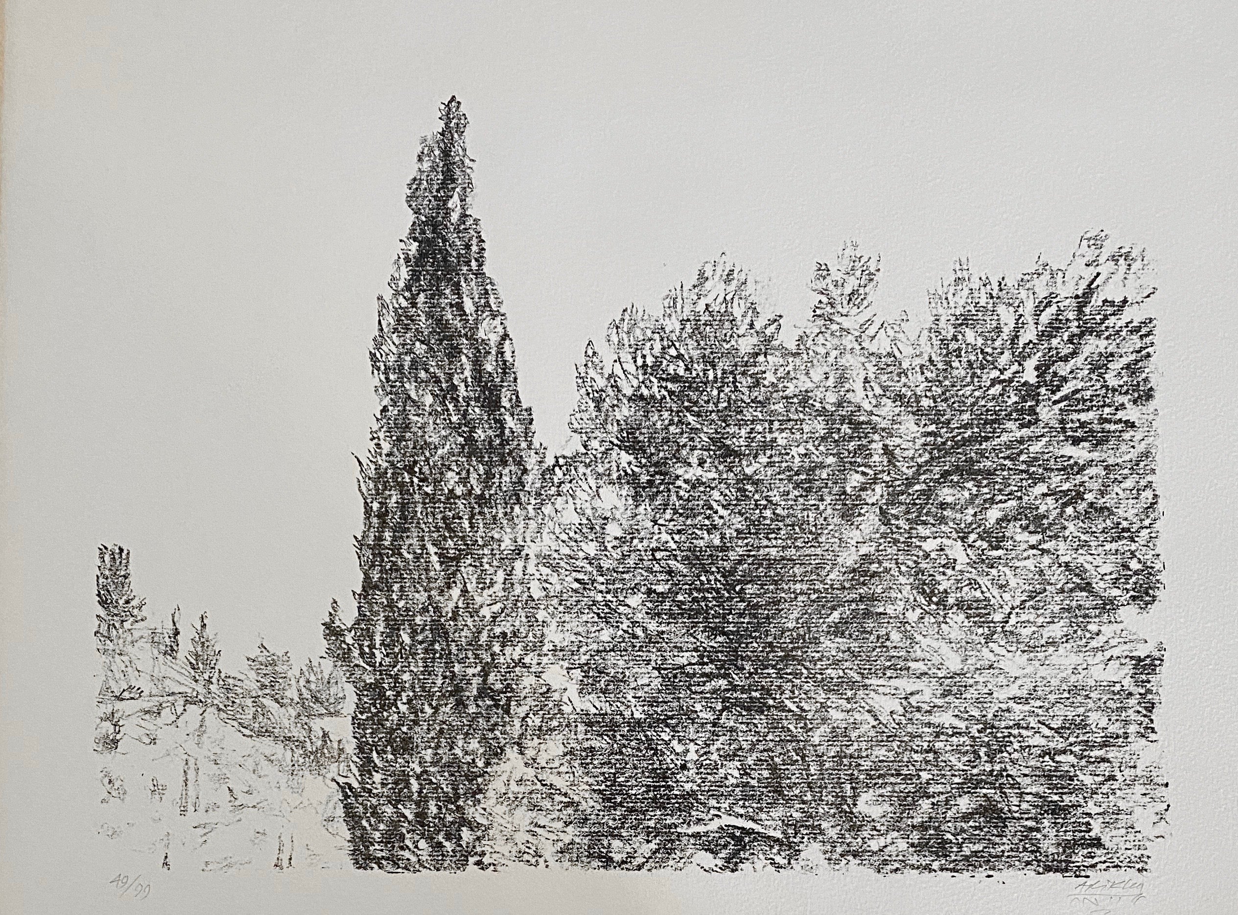 Avigdor Arikha - Avigdor Arikha Modernist Israeli Lithograph Jerusalem ...