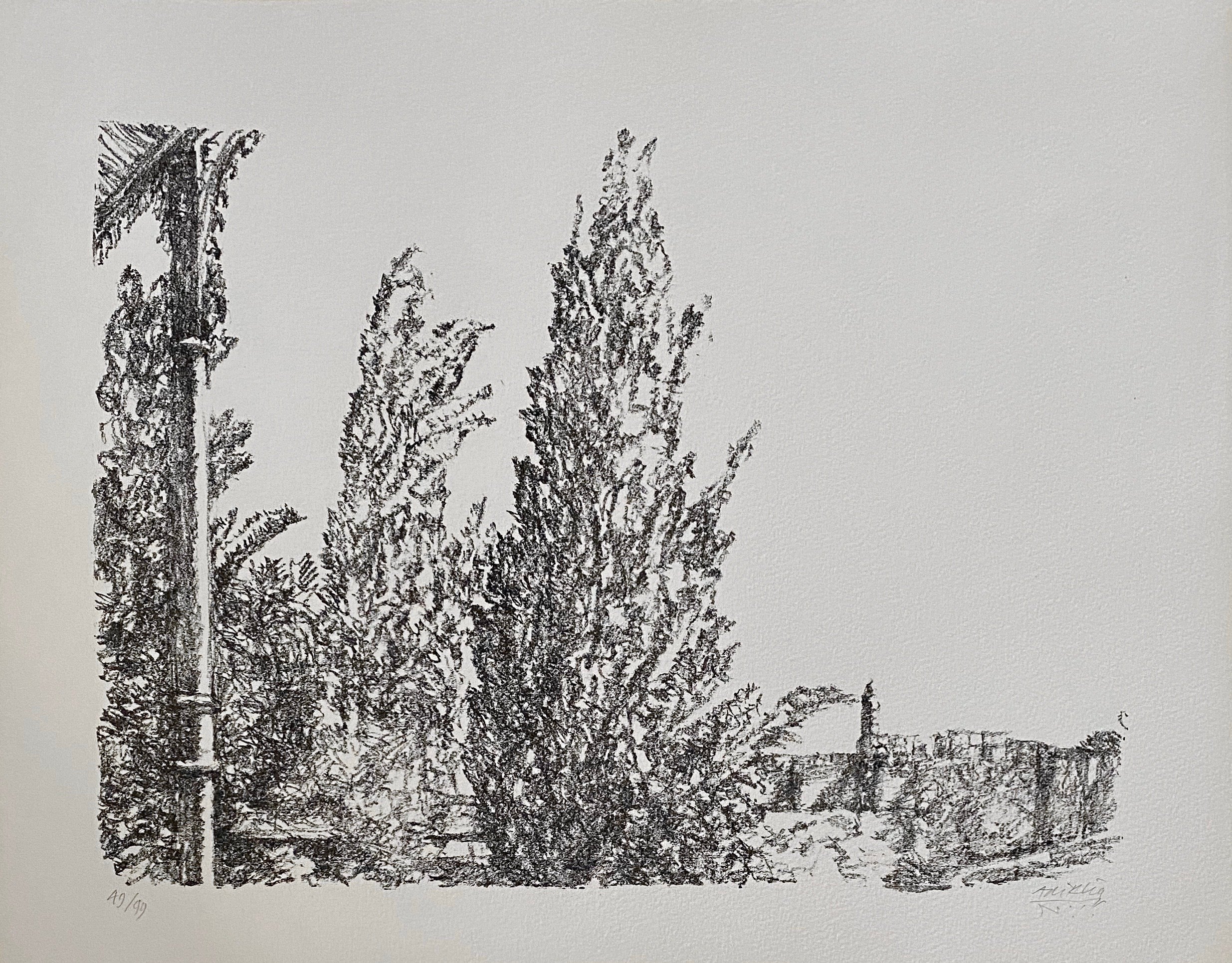 Avigdor Arikha - Avigdor Arikha Modernist Israeli Lithograph Jerusalem ...