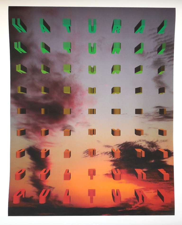 Nancy Dwyer - Natural Culture large color iris print at 1stDibs