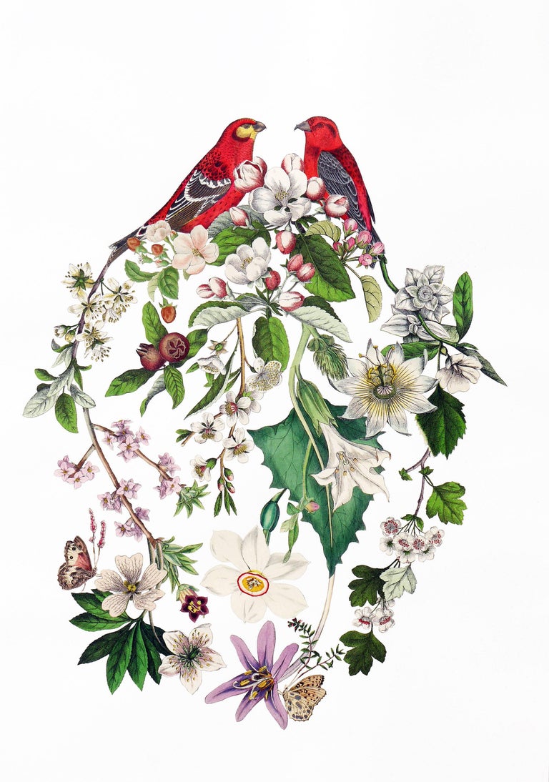 Amy Ross - Lovebirds 3 (aimeurs de mer) En vente sur 1stDibs