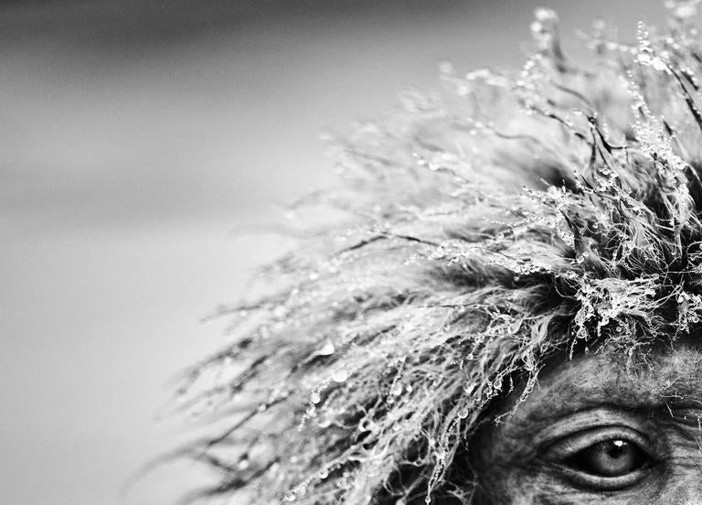 David Yarrow - Grumpy Monkey at 1stDibs