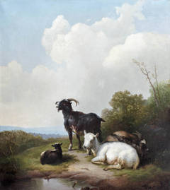 James de Rijk - Goats at a pool at 1stDibs | james de rijk, john de rijk