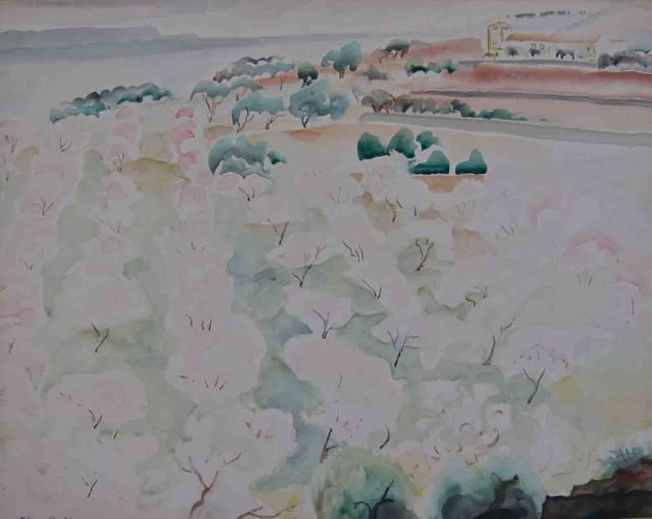 Olive Rush - Almond Orchard in Mallorca (Majorca) at 1stDibs