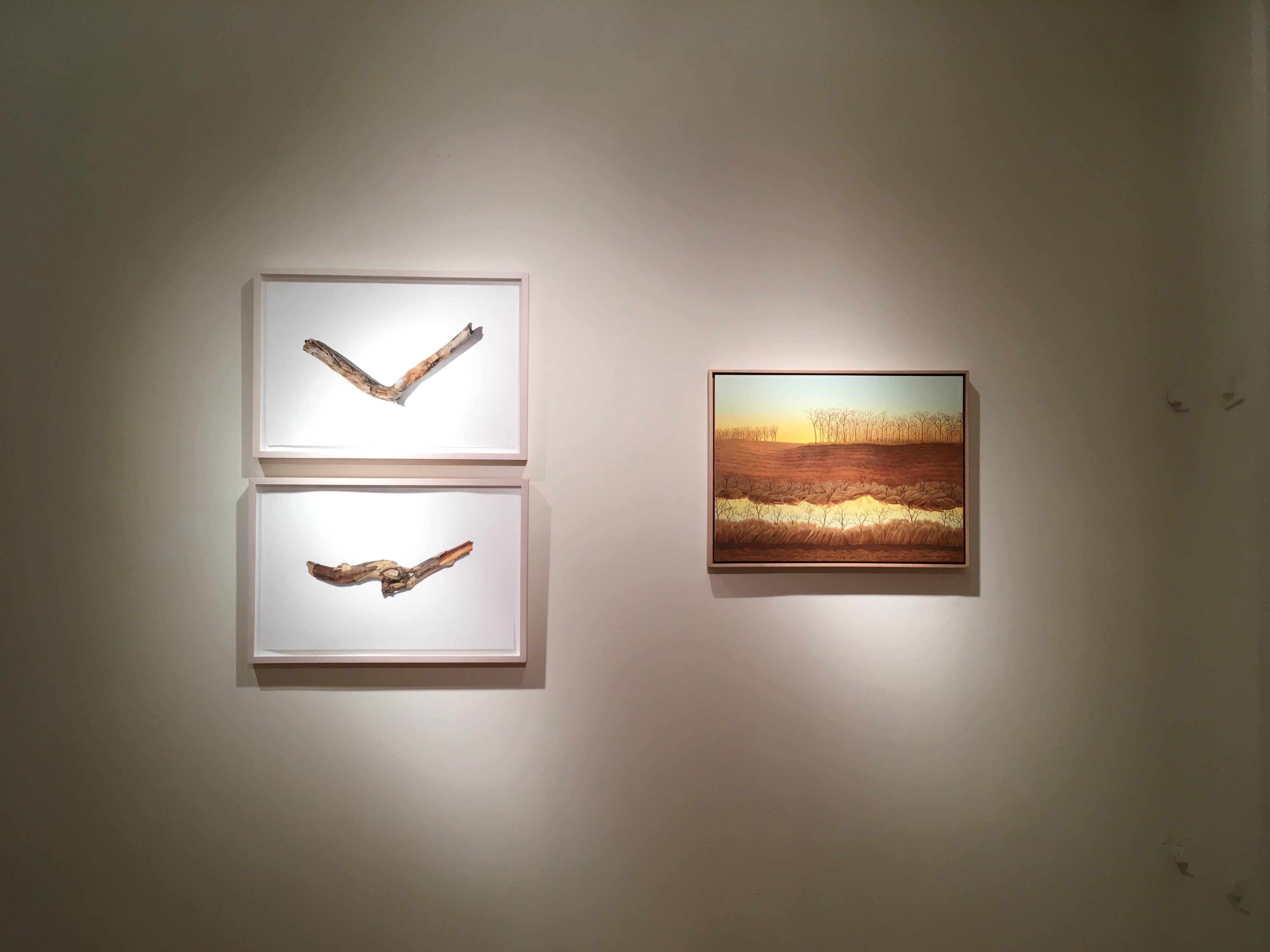 David Morrison - David Morrison, Stick Series No. 20, Photorealist ...