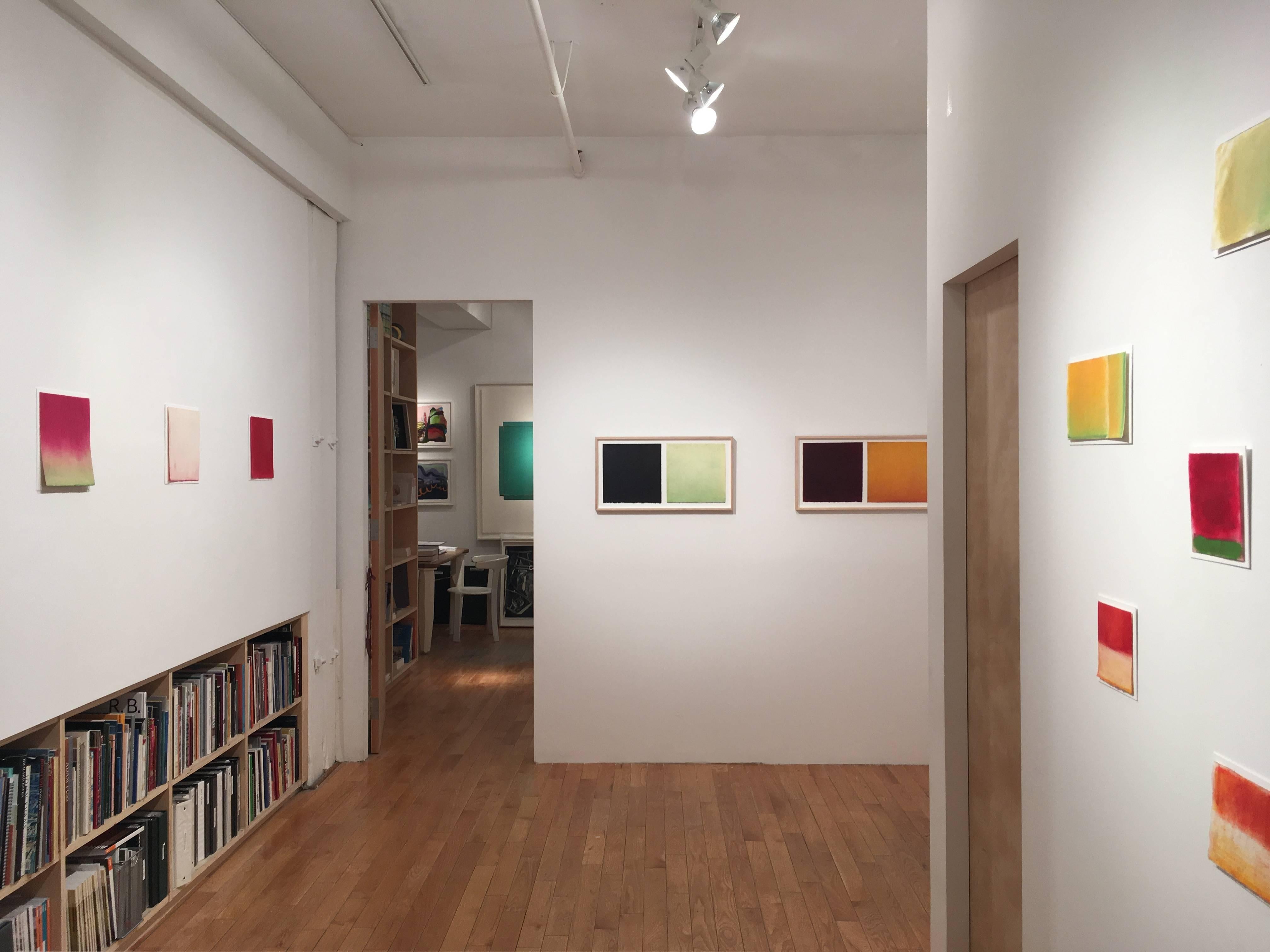 Daisy Craddock - Daisy Craddock, Black Velvet Apricot (Guido's ...