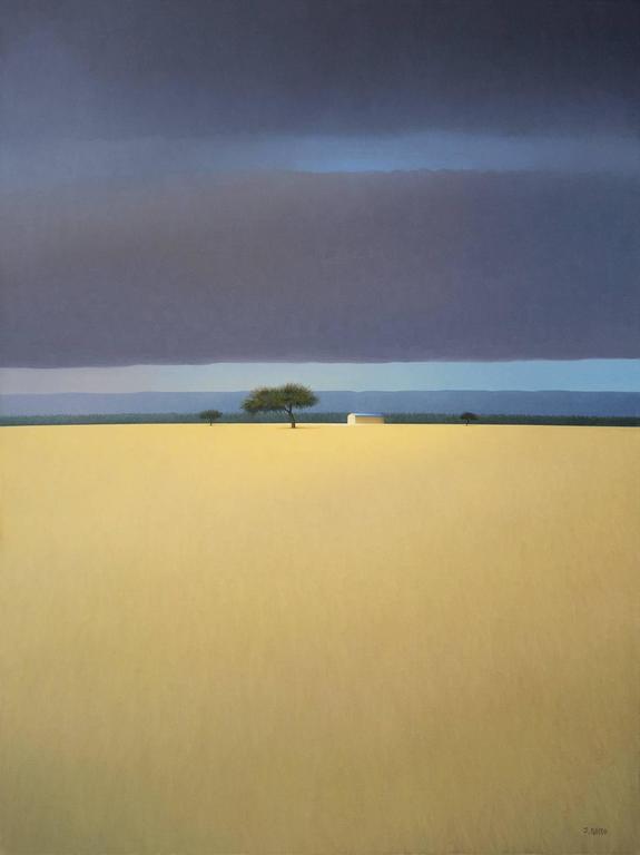 Jose Basso - Vista de la Patagonia For Sale at 1stDibs