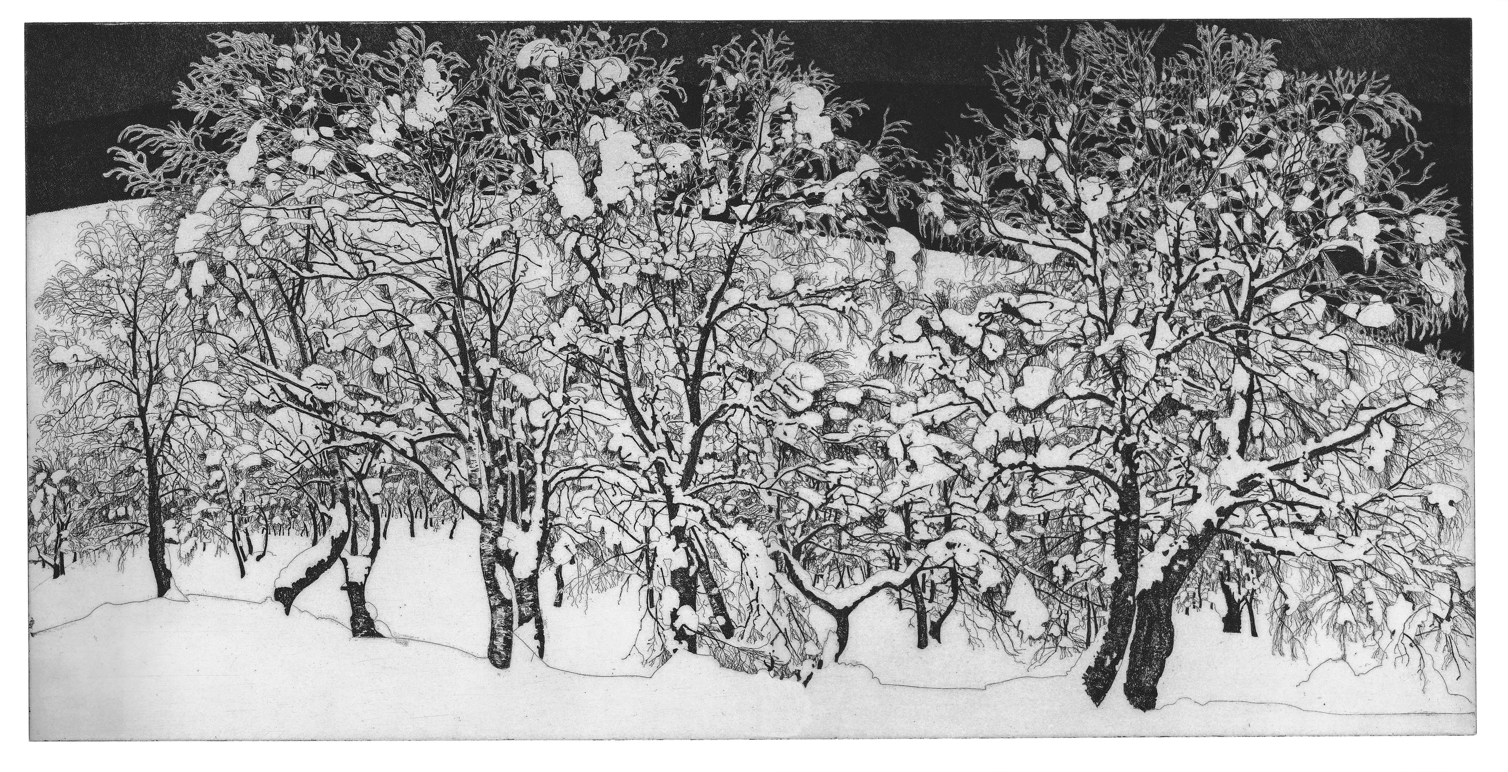 Federica Galli - Etching of snow-clad plateau of birches at 1stDibs