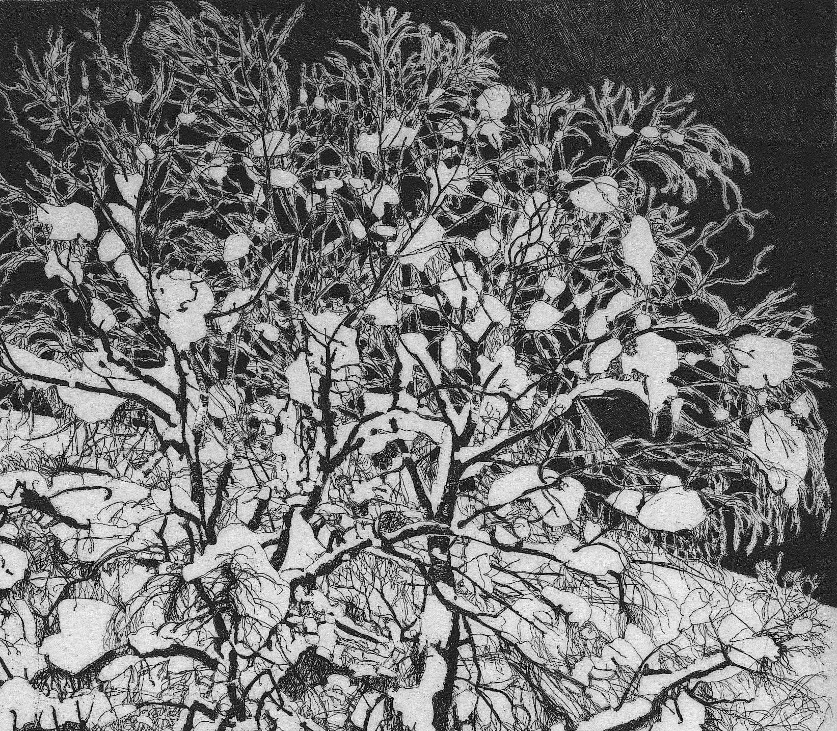 Federica Galli - Etching of snow-clad plateau of birches at 1stDibs