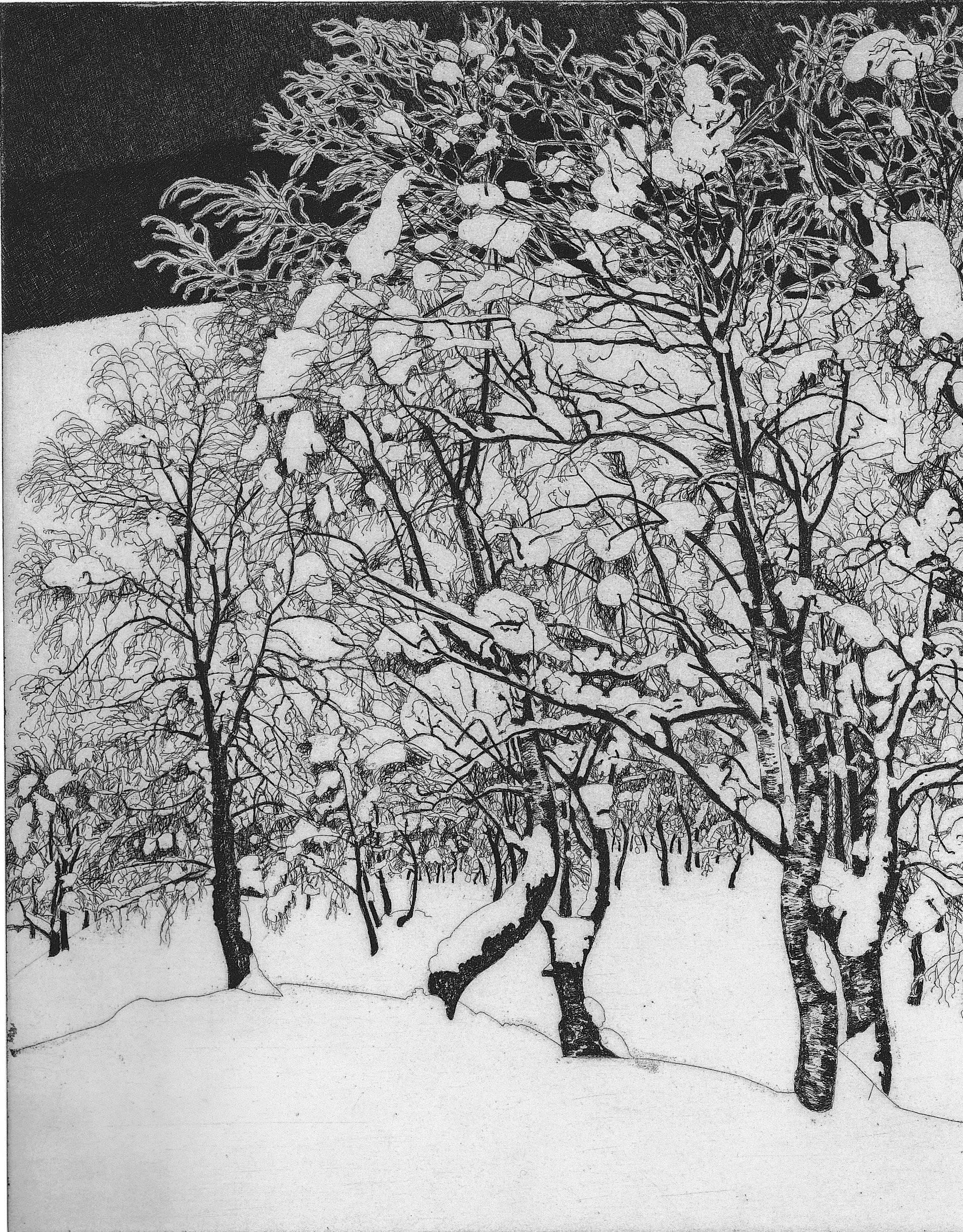Federica Galli - Etching of snow-clad plateau of birches at 1stDibs
