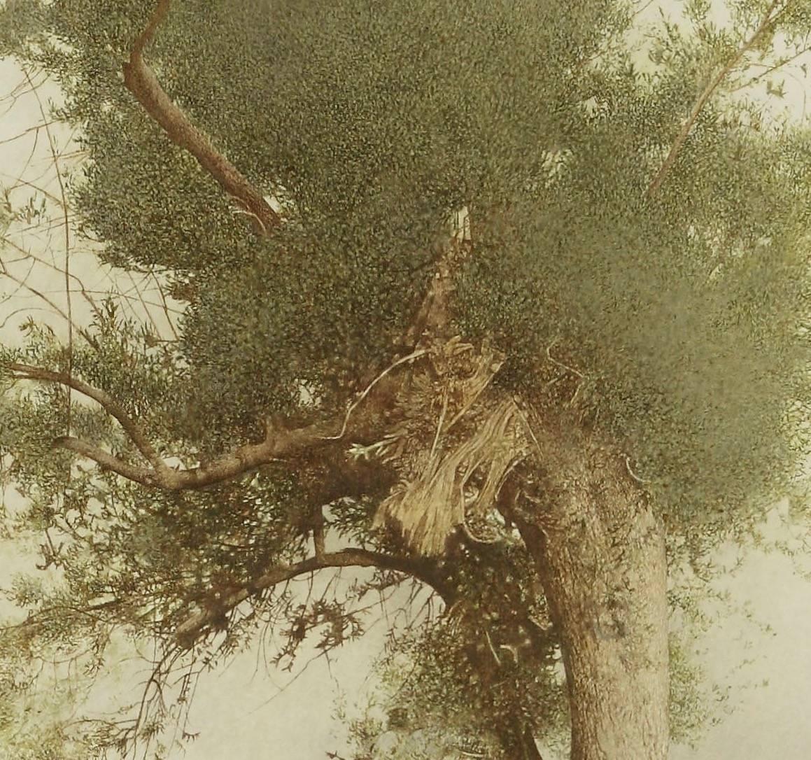 Marzio Tamer - Contemporary Watercolor Painting: morning, 2013 at ...