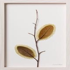 Eve Peri - Desert Flower, Mexico, Mixed Media For Sale at 1stdibs