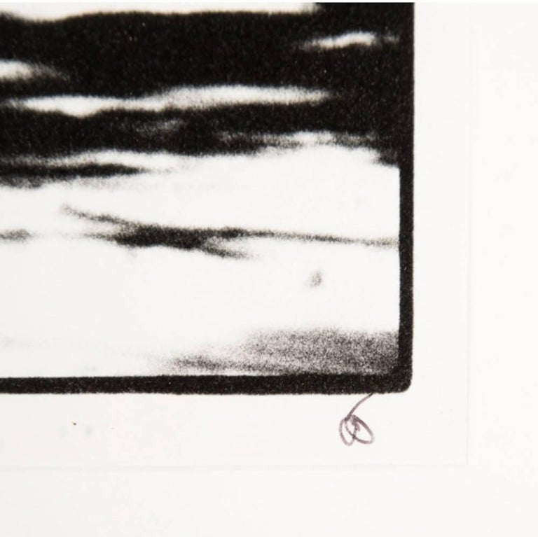 Bruce Frankel - Landscape- black and white abstract silver gelatin ...