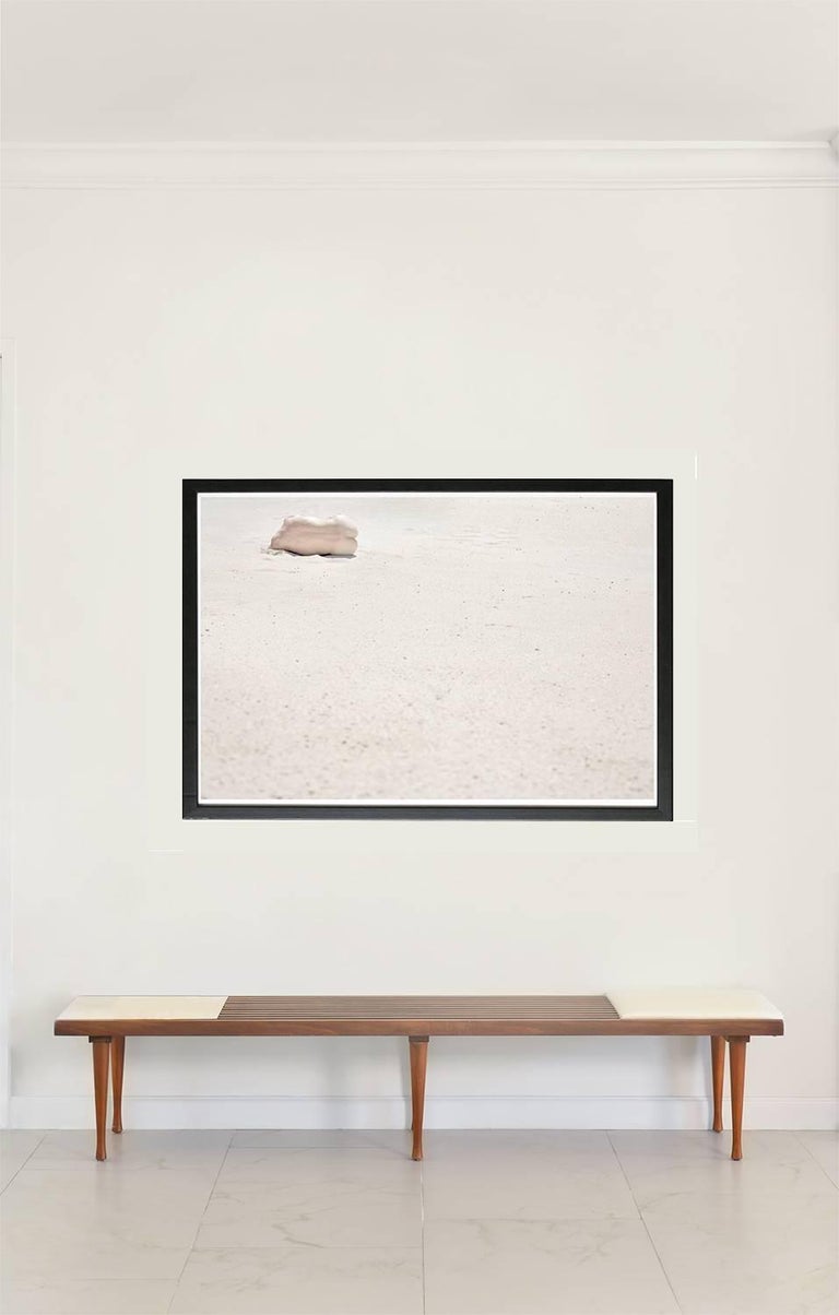 Guilherme Licurgo - The Seed / Desert Flower – Italy, Large Print ...
