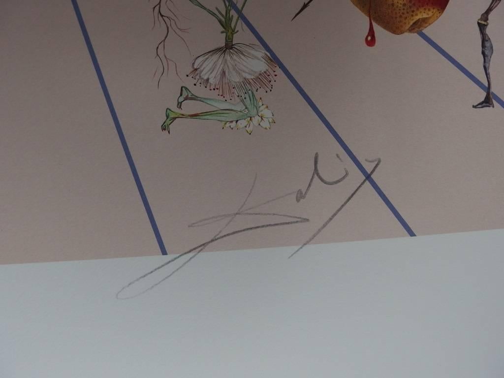 Salvador Dalí­ - Flordali II : Butterfly Rose at 1stDibs | salvador ...