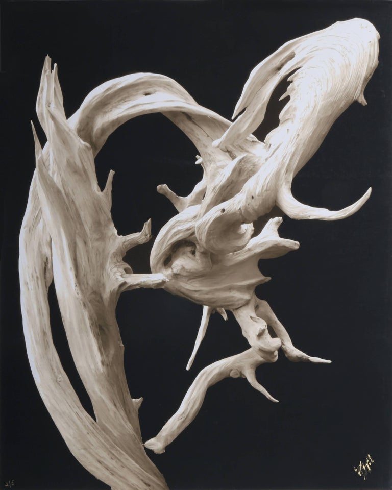 Johnathan Singer - Driftwood For Sale at 1stDibs