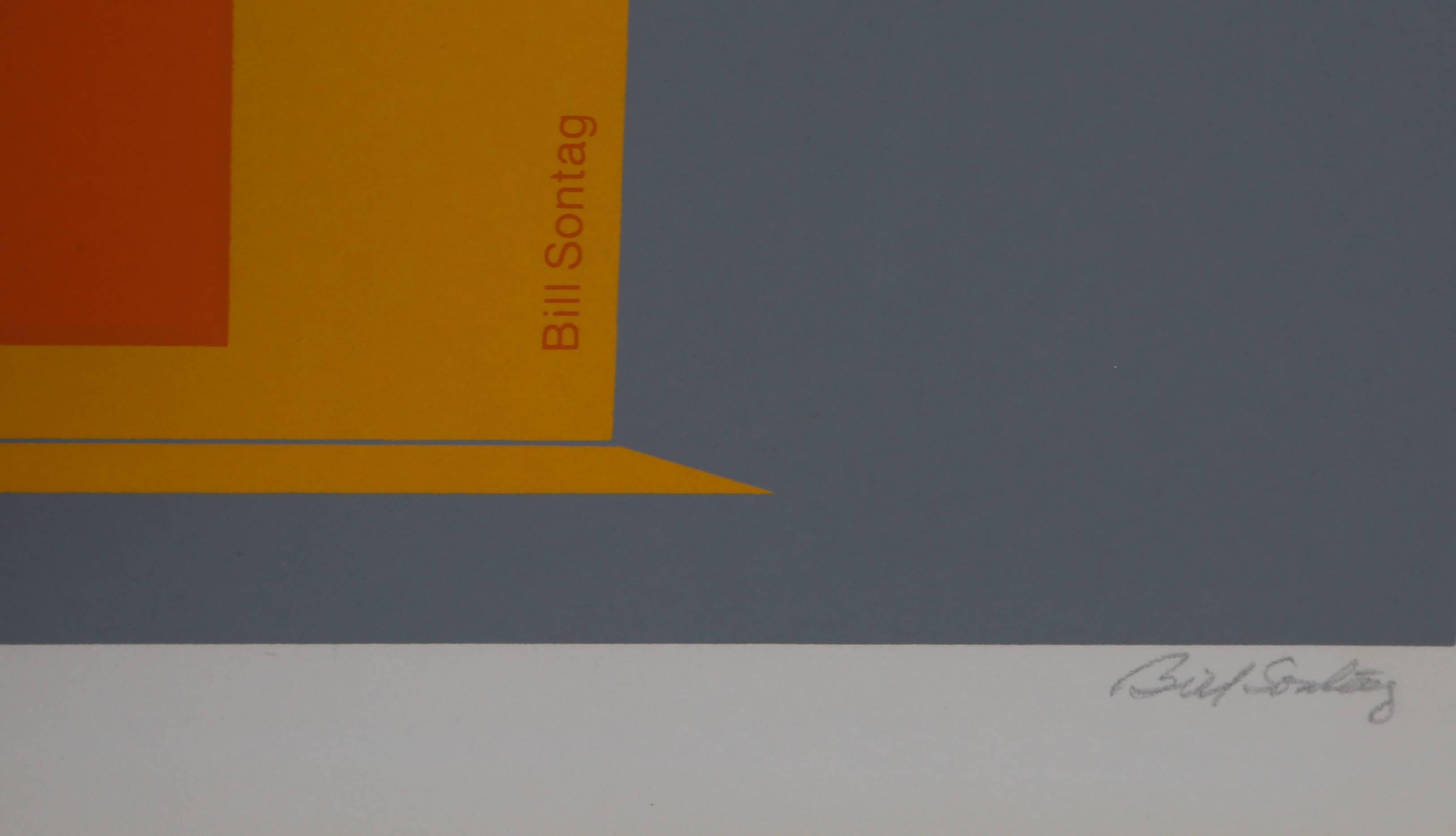 Bill Sontag - Urban Walls: Cincinnati, Screenprint by Bill Sontag For ...