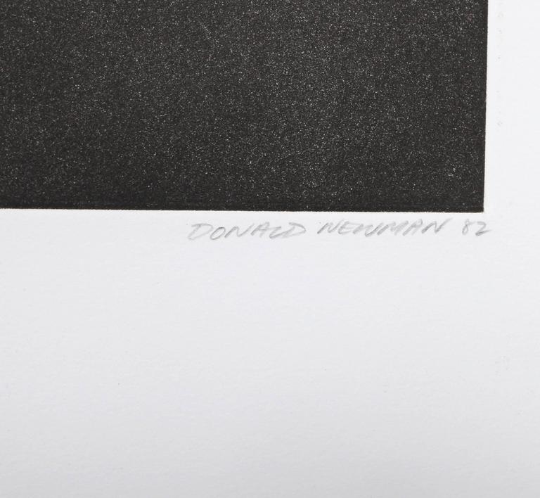 Donald Newman - Explusion For Sale at 1stDibs
