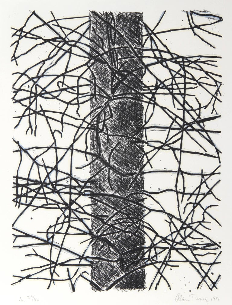 Alan Turner - Pine Cut Down A, by Alan Turner For Sale at 1stDibs