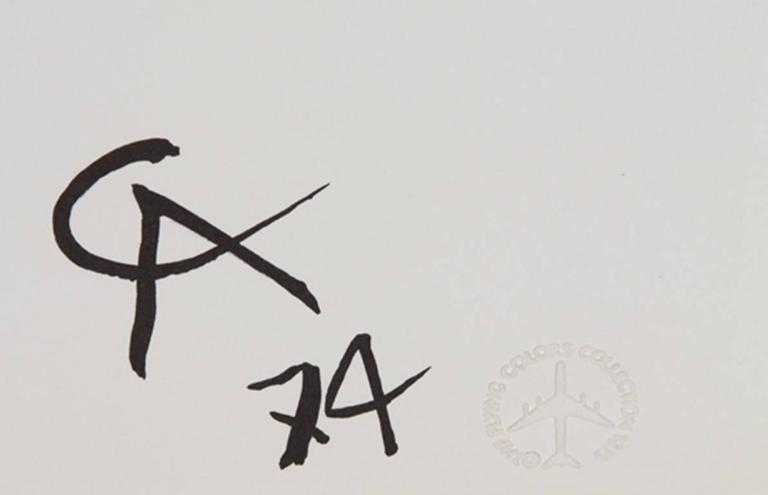 Alexander Calder - Flying Colors for Braniff Airlines, Lithograph by ...