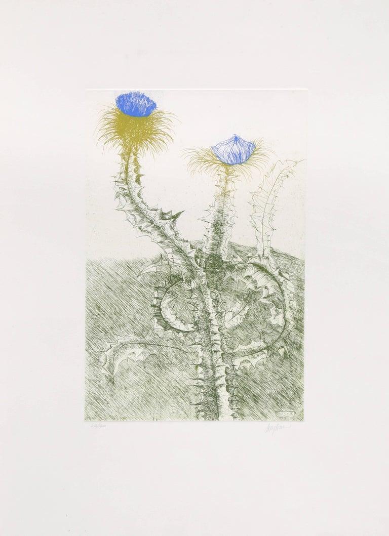 Leonard Baskin - Thistle, Drypoint Etching in Colors by Leonard Baskin ...