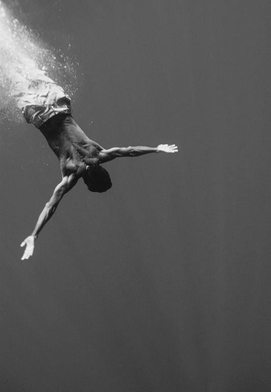 Bruna Stude - Dive For Sale at 1stDibs