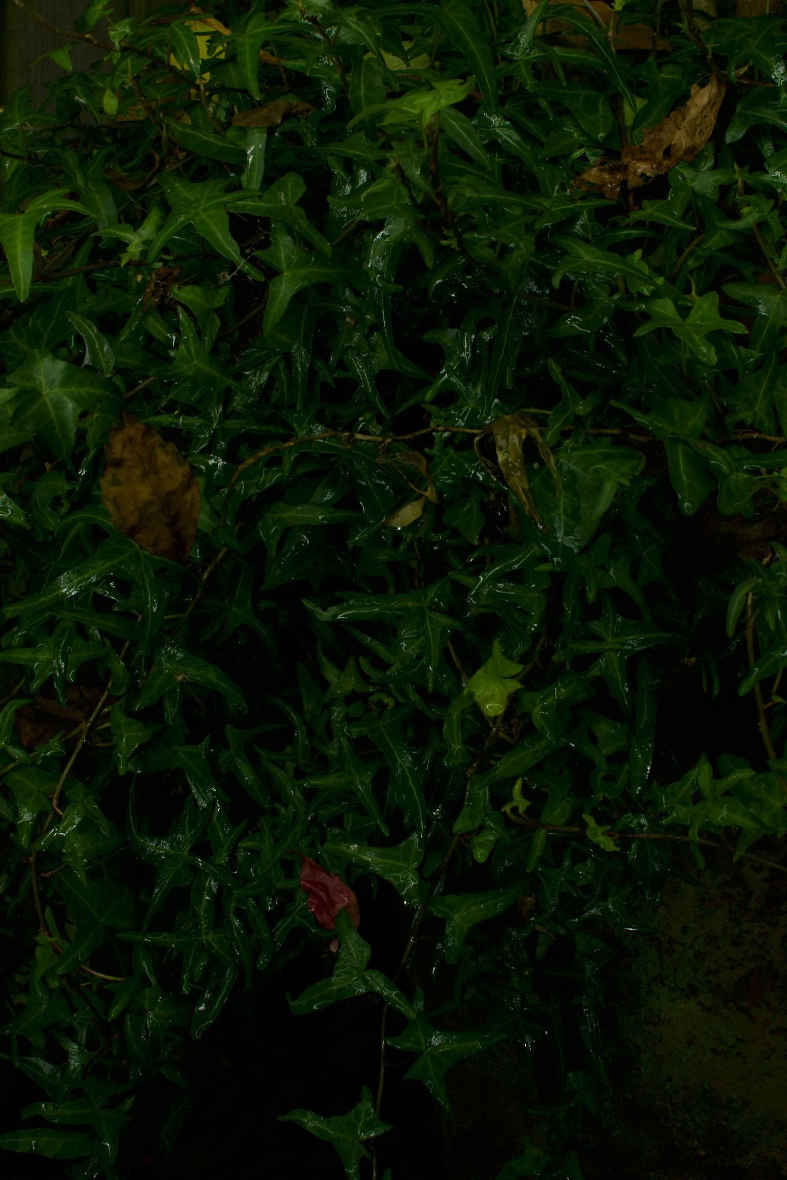 Jakub Dolejš - Winter For Sale at 1stDibs