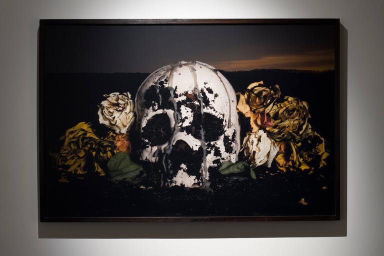 Nicholas & Sheila Pye - Sugar Skull For Sale at 1stDibs