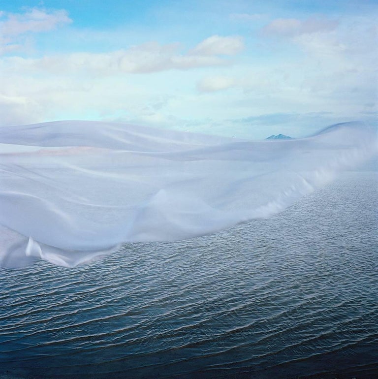 Rebecca Reeve - Marjory's World #48 For Sale at 1stDibs