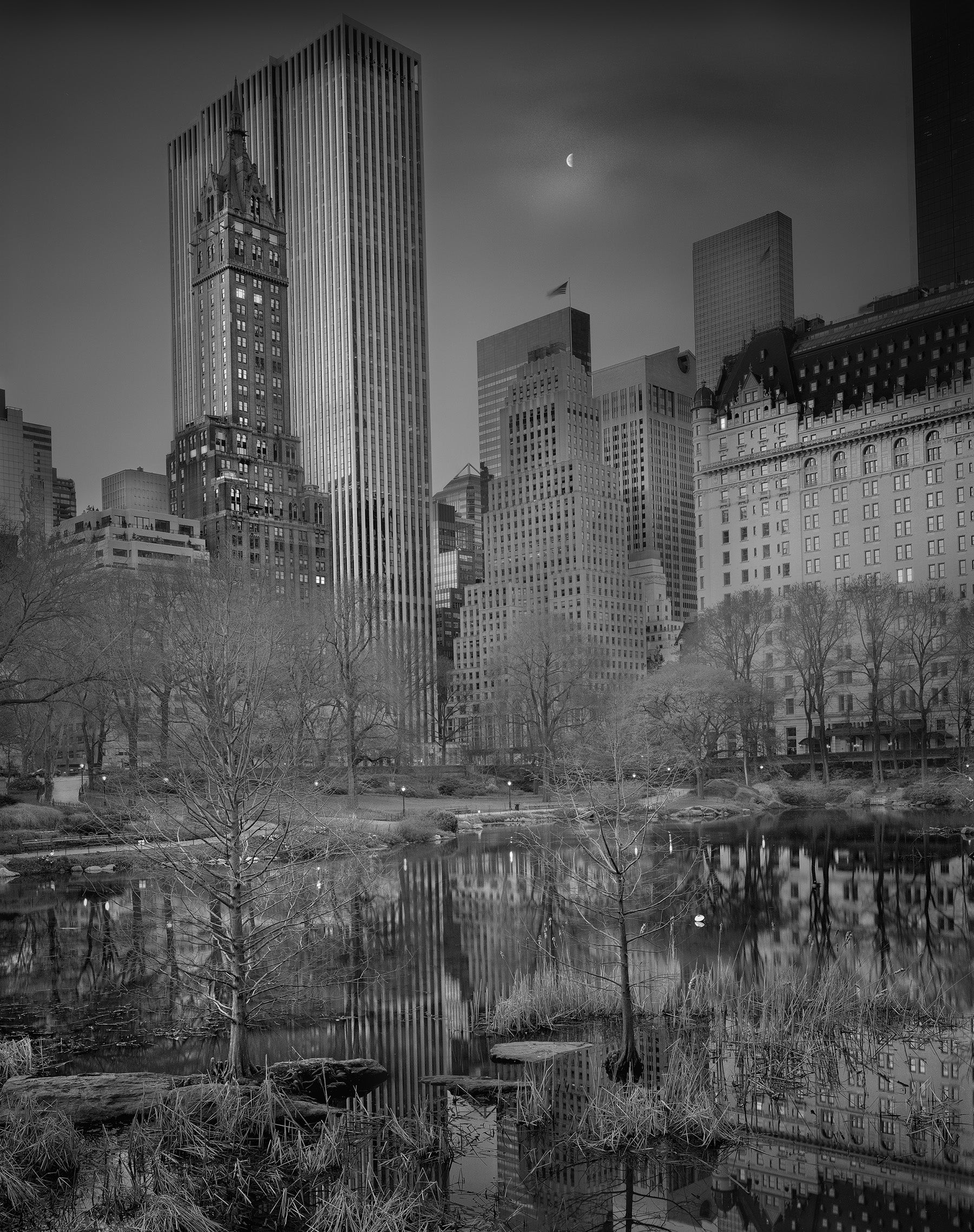 Michael Massaia - Airplane: Deep In A Dream-Central Park For Sale at ...