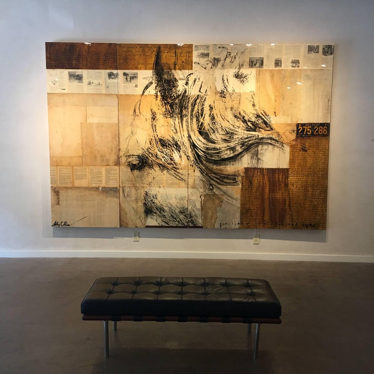 Ashley Collins - Compilation of a Thousand Sages-Ashley Collins horse ...