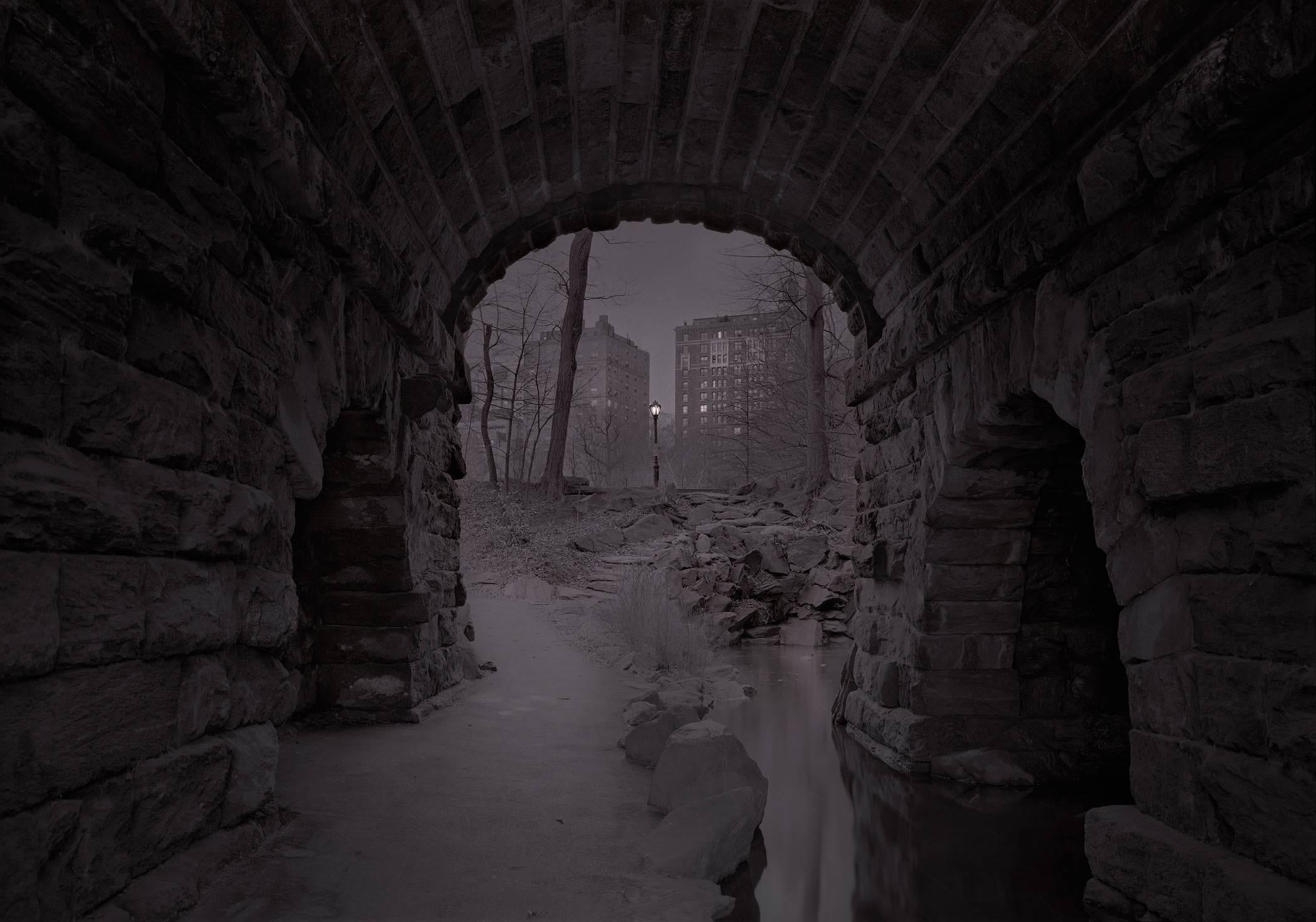 Michael Massaia - Private Gardens For Sale at 1stDibs